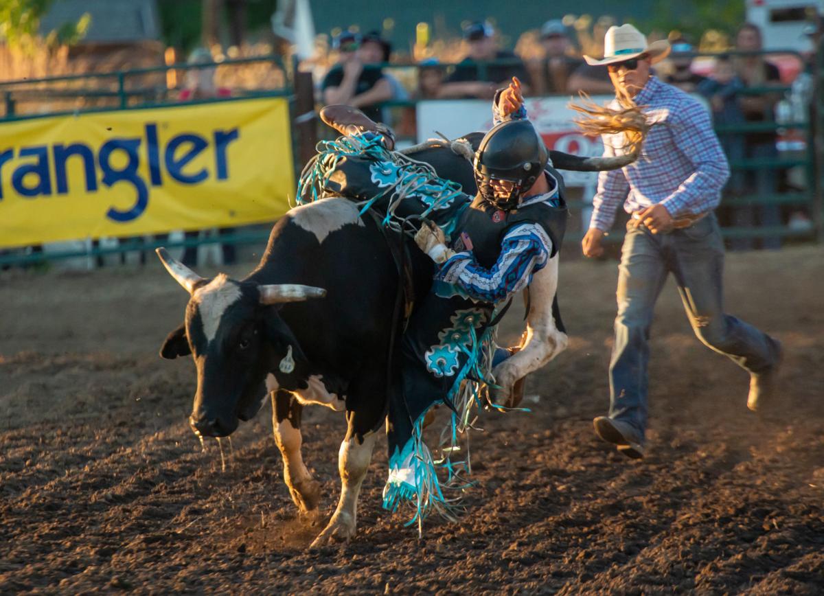 Bull riders — except one — find the going tough at Sutherlin Stampede ...