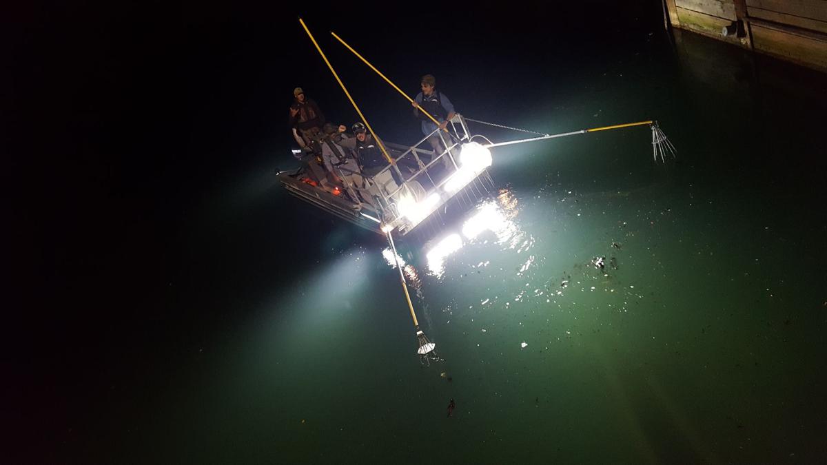 Biologists use electricity to catch fish for counting study ...