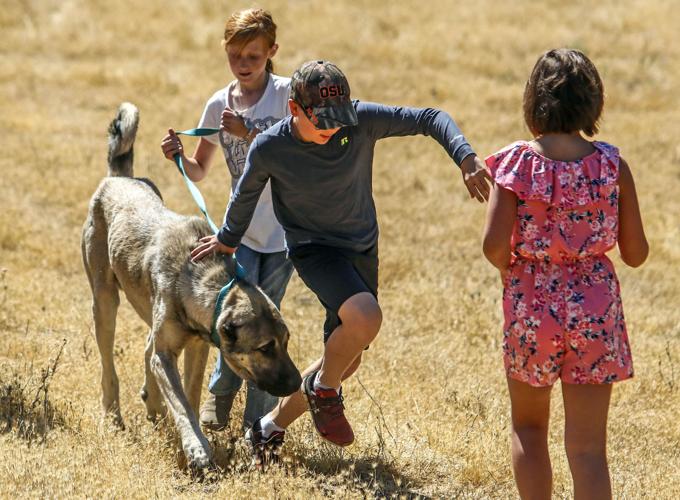 Make-A-Wish, community members build barn for girl with cystic fibrosis ...