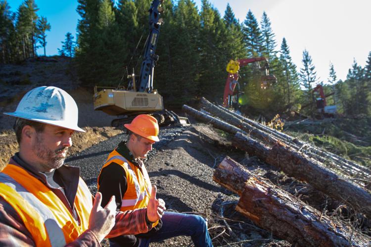 A balancing act: The forestland management debate | Environment ...