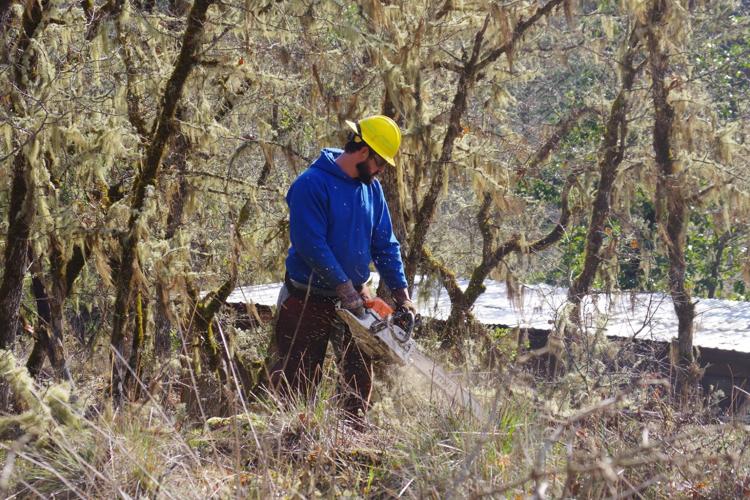 Time running out to 'Get Firewise' before 2022 fire season sparks ...