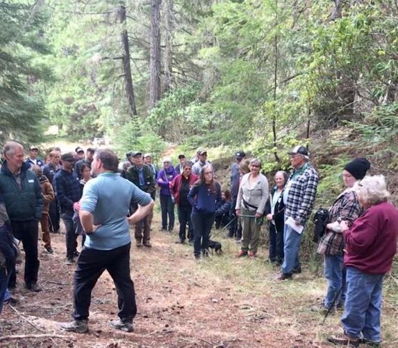 Marline Koch named tree farmer of the year | Education | nrtoday.com