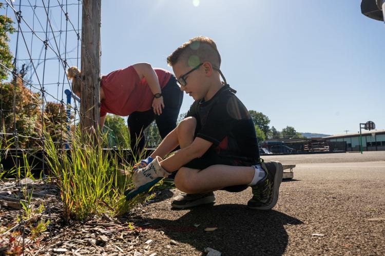Green Elementary School gets a facelift | Education | nrtoday.com