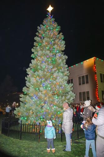 'Tis the season: Douglas County Christmas tree, courthouse lit up to ...