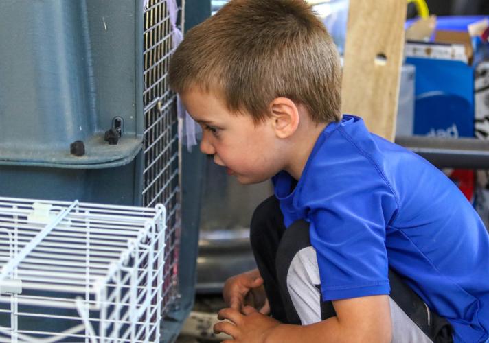 Make-A-Wish, community members build barn for girl with cystic fibrosis ...