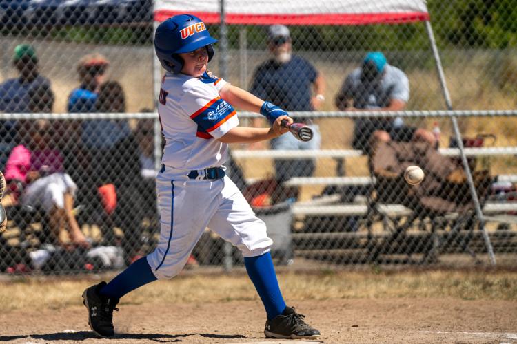 Three Umpqua Valley Cal Ripken/Babe Ruth baseball teams win state ...