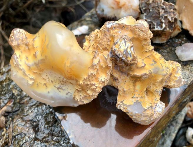 Discovering the geology of Oregon one stone at a time | | nrtoday.com