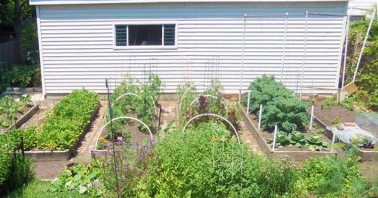 Ask a Master Gardener: Starting a vegetable garden | Family | nrtoday.com