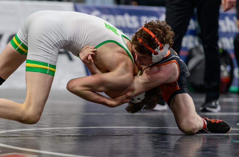State wrestling: Roseburg's Dawson brothers settle for second in 6A ...
