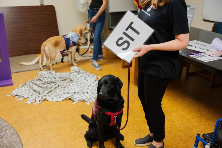 Canyonville summer reading program ends with canine training ...