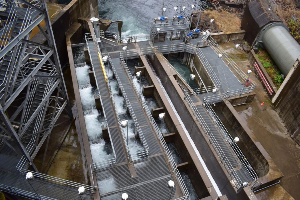 Fish passage improvements seen on hydroelectric project tour ...