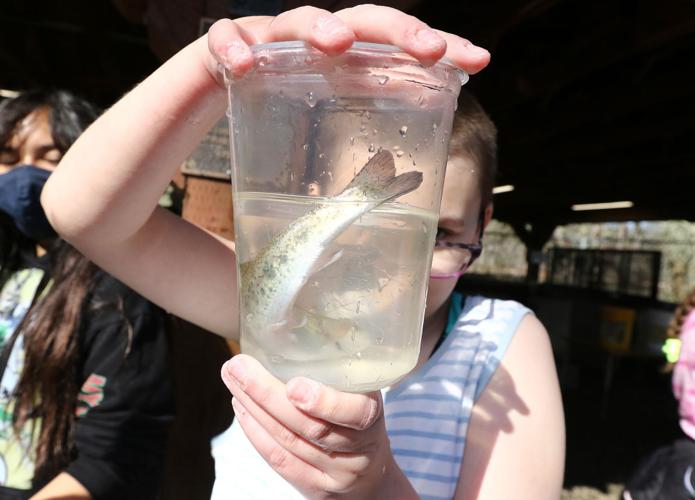 Eastwood Elementary students release fish from hatchery into Deer Creek ...