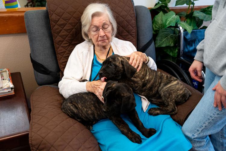 Puppies and peers visit at Adams House | Education | nrtoday.com
