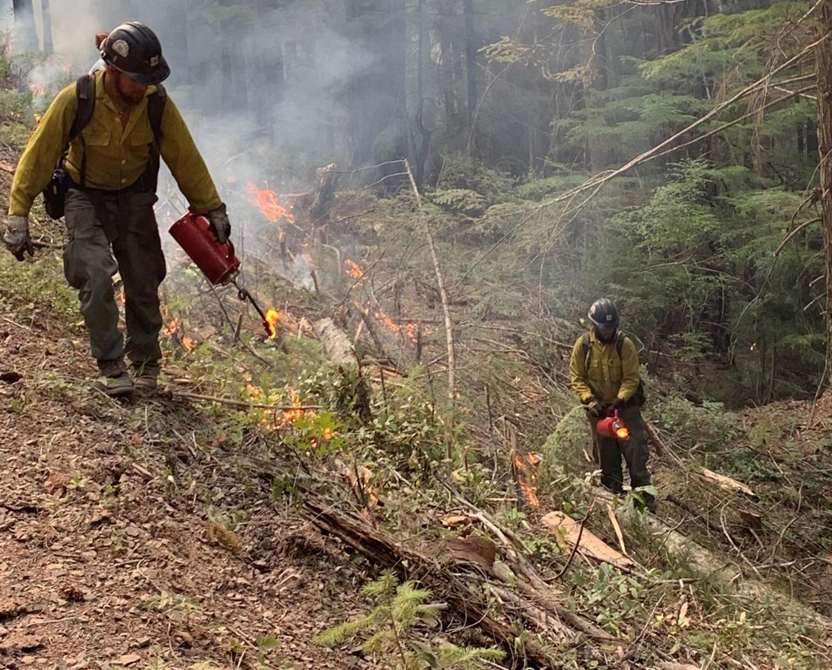 Smith Fire continuing to push growth of Devil's Knob Complex ...