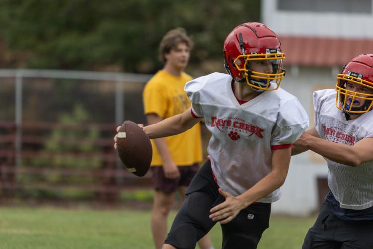 Preview: Days Creek raises standards high for this season | Prep ...