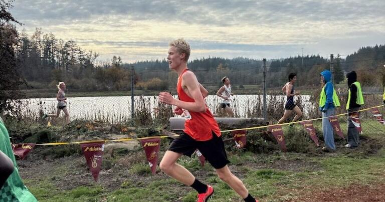 Prep Cross Country: Area runners end seasons in state meets | Prep ...