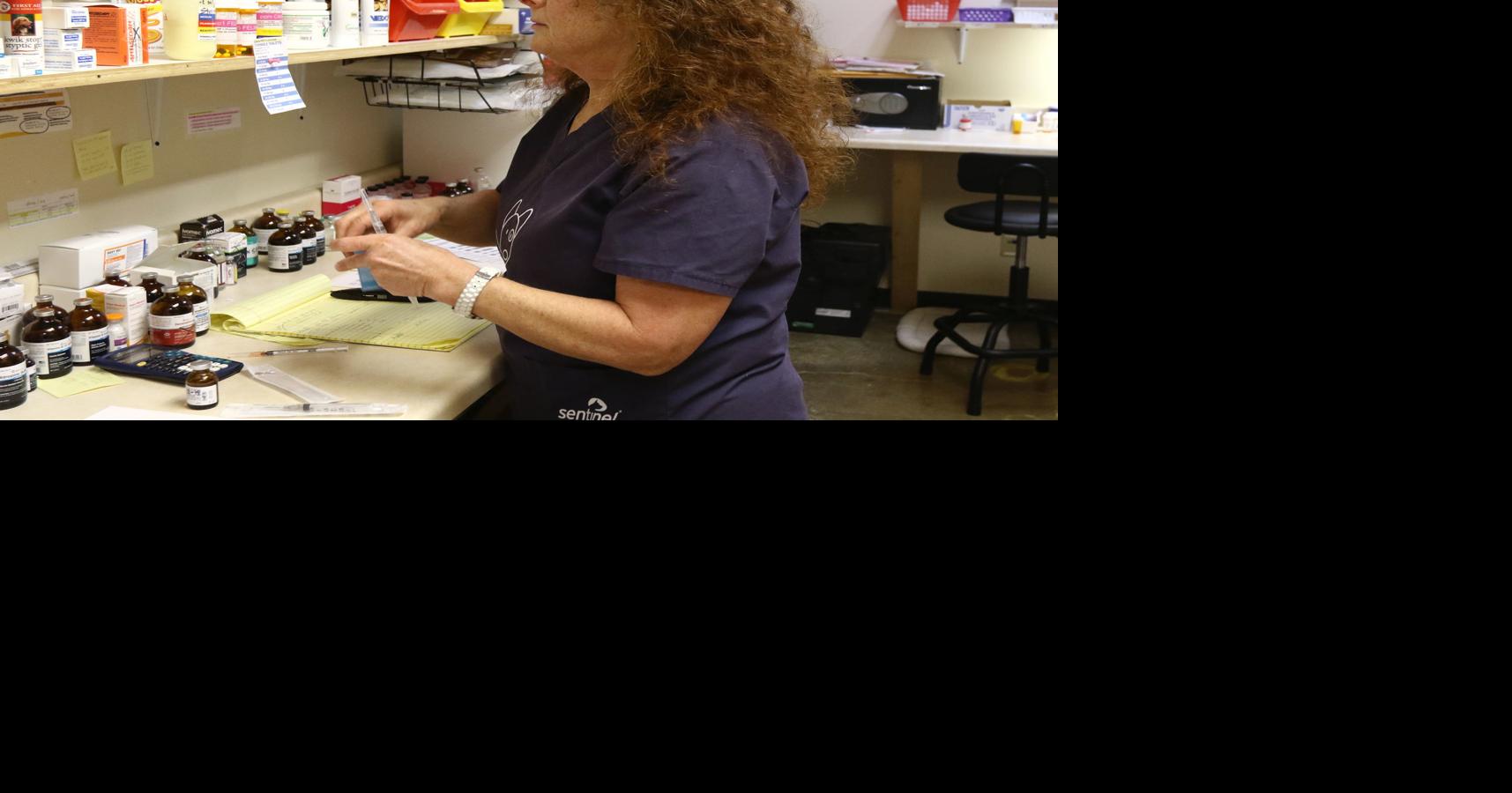 Four dogs in the past eight months affected by meth | News | nrtoday.com