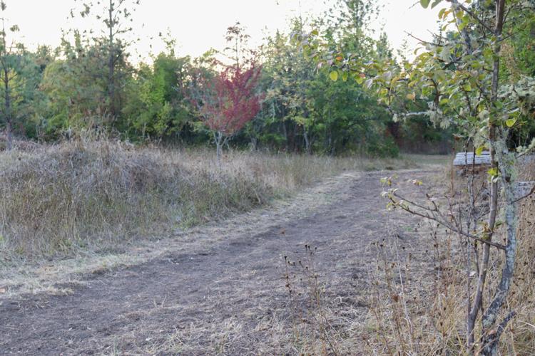 Prescribed burn in Glide slated to benefit school | Education | nrtoday.com