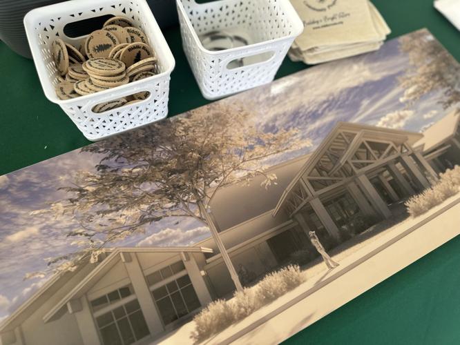 Riddle kicks off public campaign for activity center | Local News ...