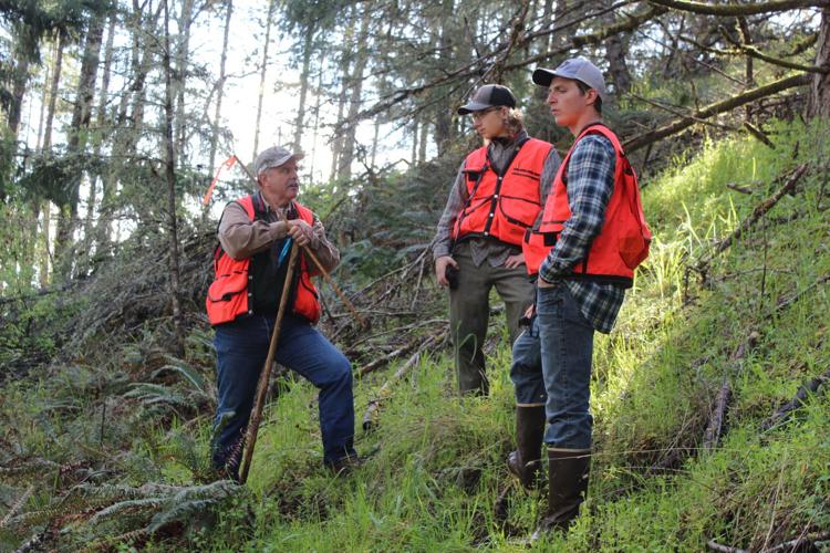 Taking a cruise through timber | News | nrtoday.com