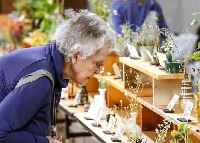 Glide Wildflower Show volunteers prepare for next weekend's annual ...
