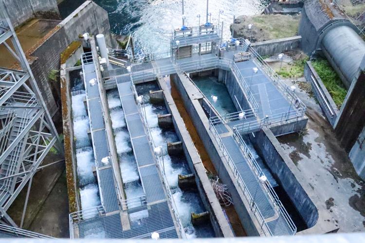 Pacificorp hydroelectric project on display during tour | Environment ...