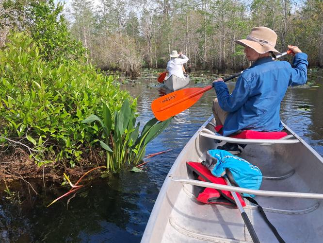 Surviving Georgia | Life | nrtoday.com