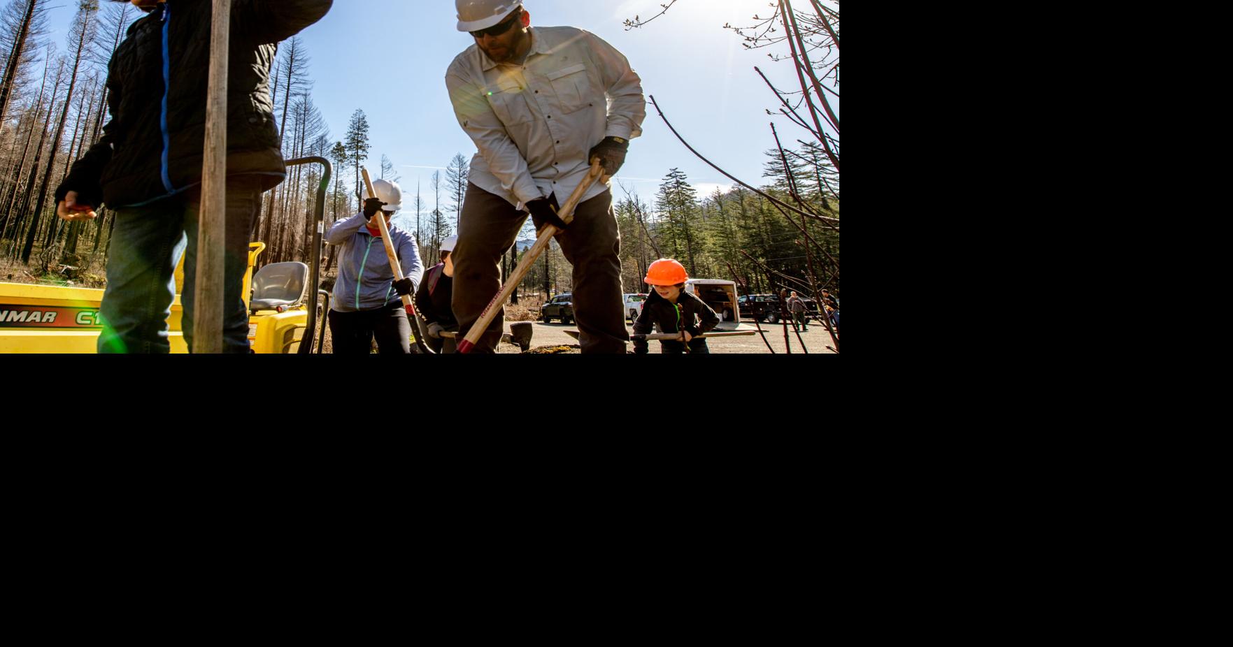 National Forest Foundation, Forest Service seeking volunteers for trail ...