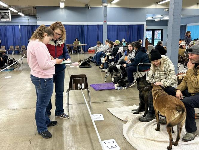 4-H Dog ID Contest brings youth, community partners and canine ...