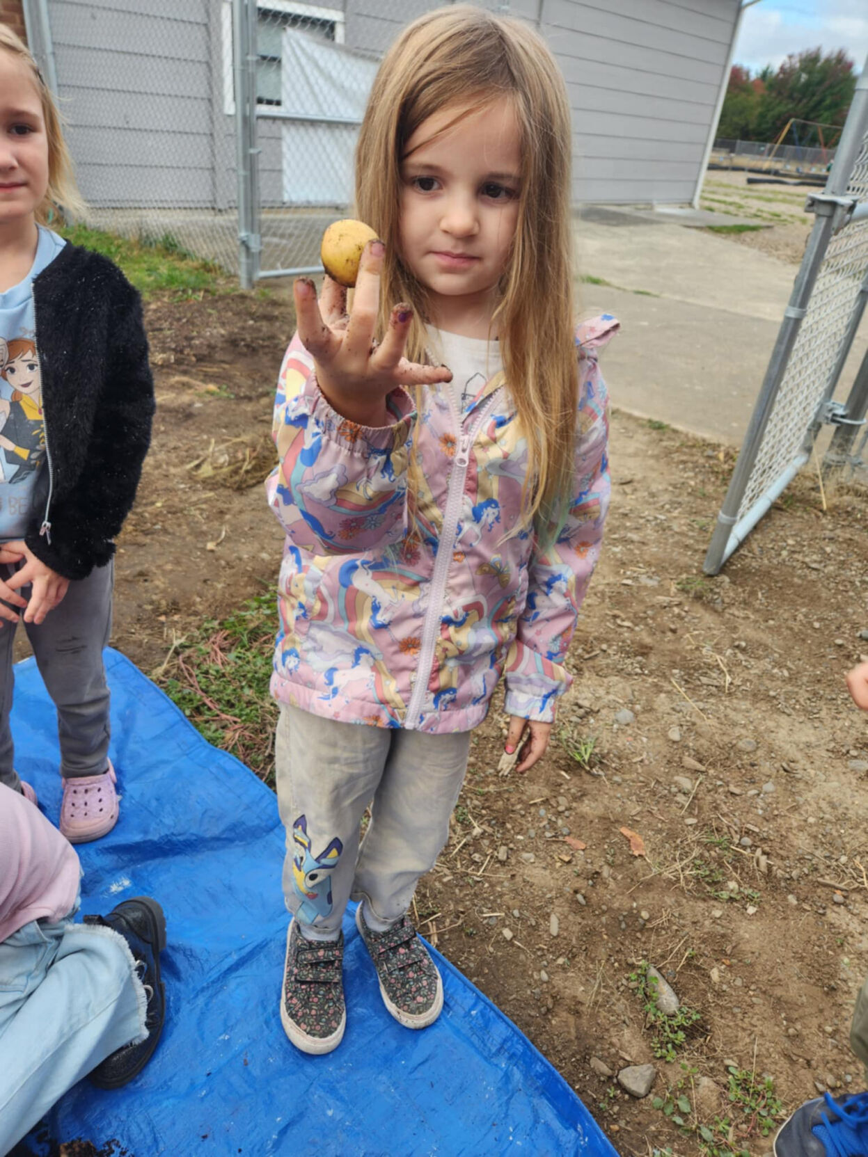Potatoes Come Full Circle | Family | nrtoday.com