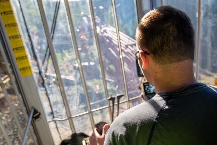 A balancing act: The forestland management debate | Environment ...