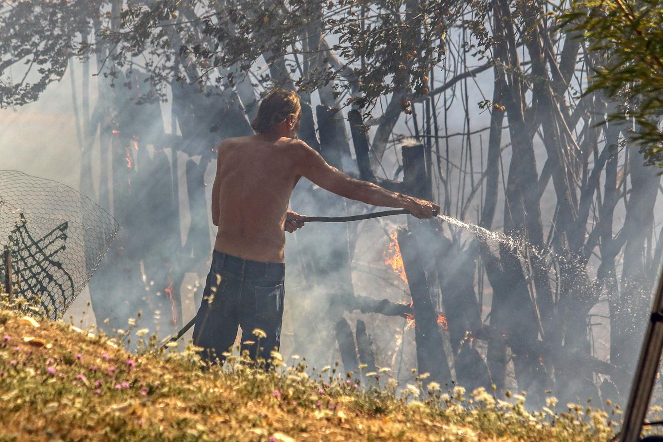 Neighbors jump in to help as fire rips through section of Green ...