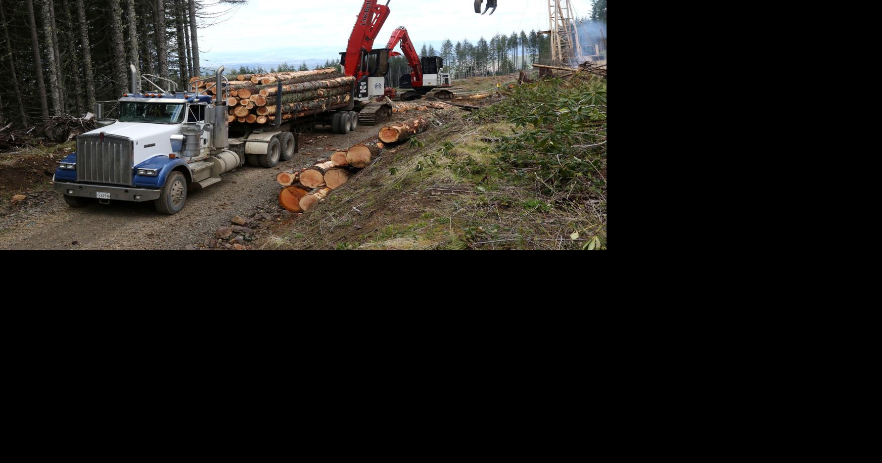 O&C counties receive boost in timber receipt revenue | Environment ...