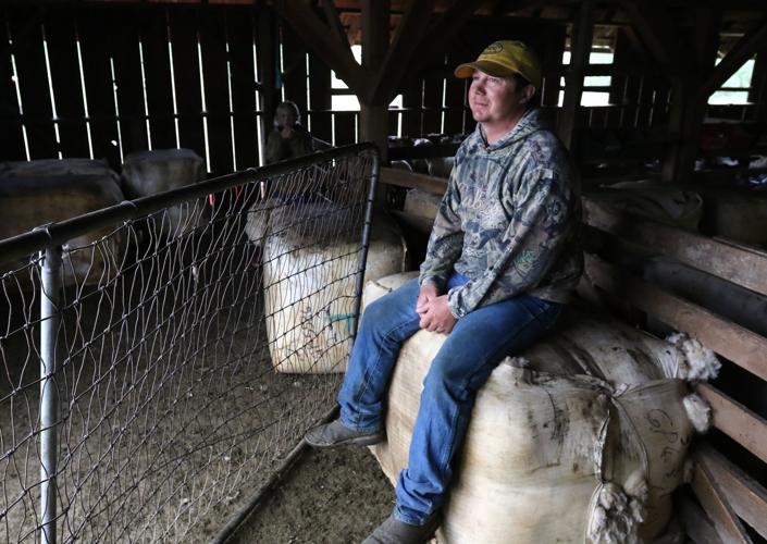 Father's Day is a normal day on the Singleton Ranch | Family | nrtoday.com