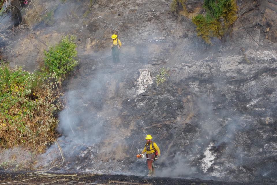 Fire crews attacking wildfires from Curtin to past Cottage Grove ...