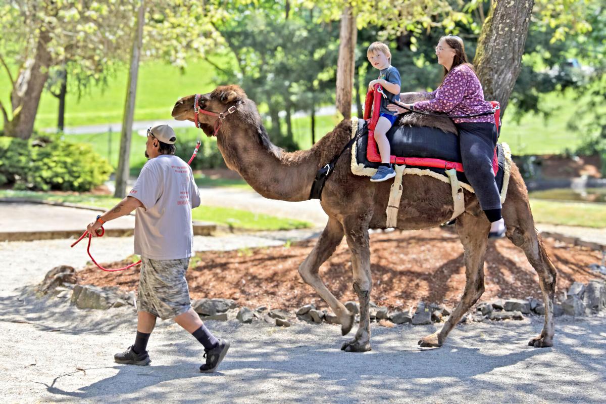 camel safari promo code