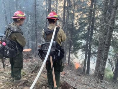 Umpqua National Forest adjusts closures | Local News | nrtoday.com
