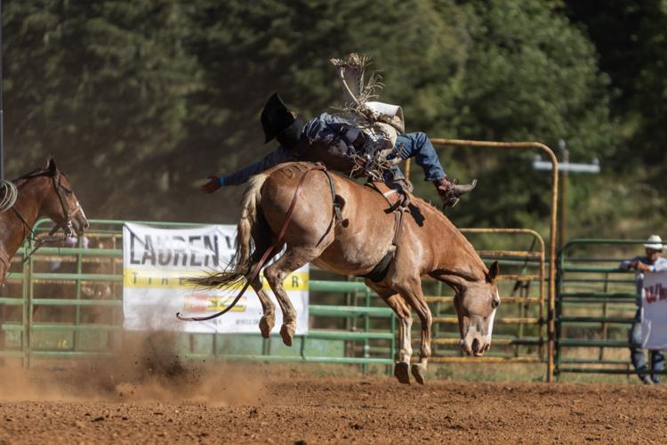 Yoncalla Rodeo: Annual county summer event draws large number of ...