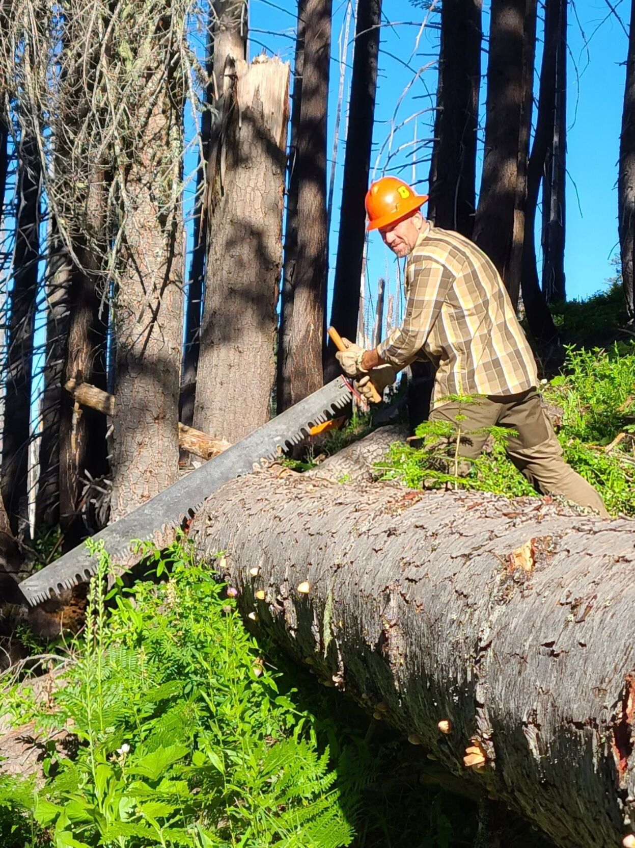 GIs and flies: The story of Rusty Lininger and Source One Serenity ...