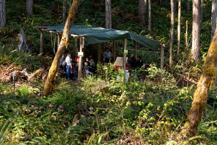 Fifth graders explore and learn through the forest | Education ...