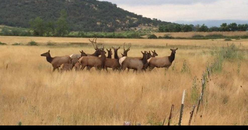 To be a 4-percenter | | nrtoday.com