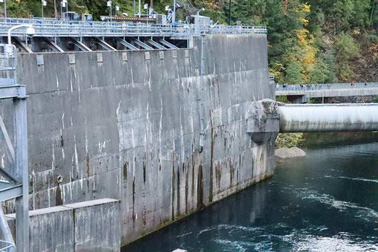 Pacificorp hydroelectric project on display during tour | Environment ...