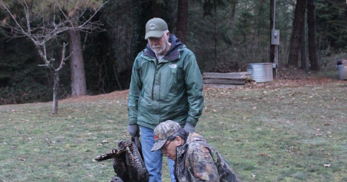 Turkey trapping | Environment | nrtoday.com