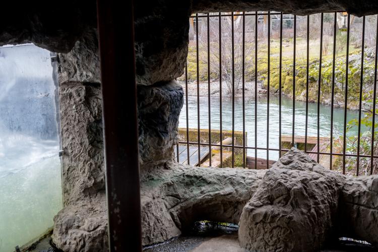 Winchester Dam fish ladder cleaned up, open | Local News | nrtoday.com