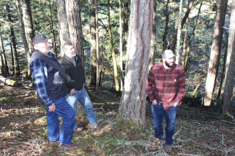 Ragon family dedicates three generations to forestry | News | nrtoday.com