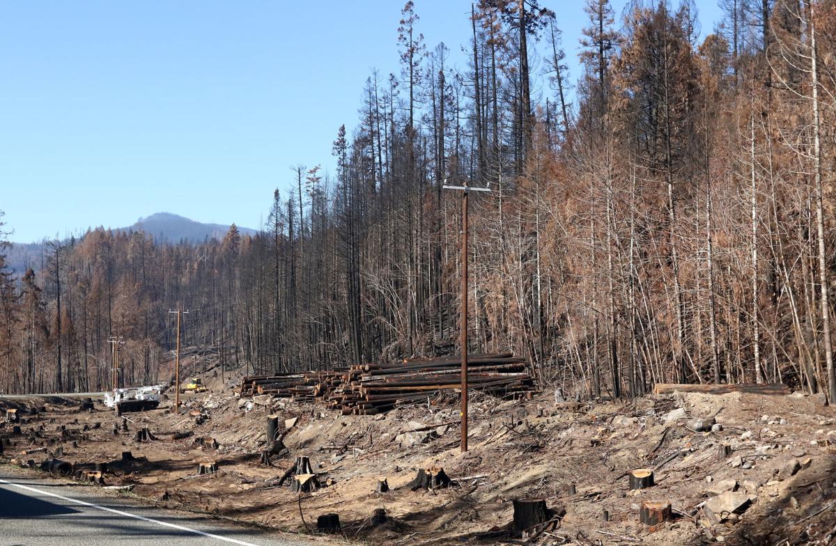 Archie Creek Fire was an entirely different monster | News | nrtoday.com