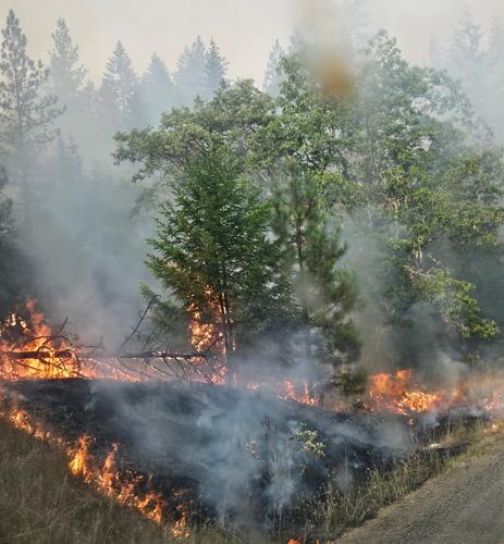 Two new wildfires start in south Douglas County | Local News | nrtoday.com