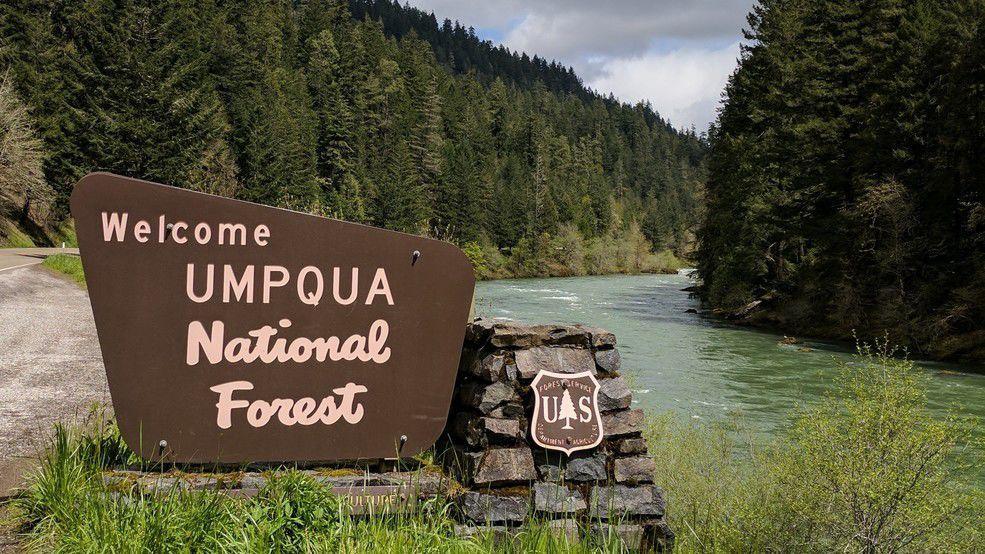Umpqua National Forest reopens many campgrounds | Outdoors | nrtoday.com
