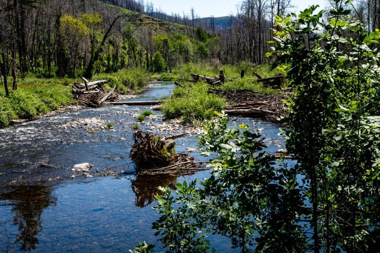 Western Oregon Resource Advisory Committee holds meeting, field trip in ...