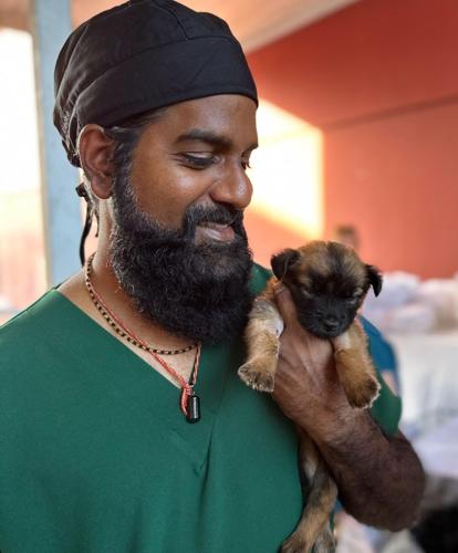 Operation Potcake: Providing animals care in the Bahamas | News ...